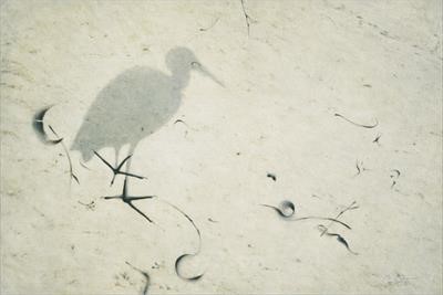 Artist - Greg Postle